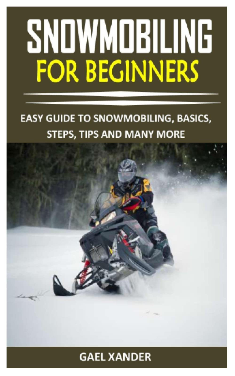 Buy SNOWMOBILING FOR BEGINNERS: EASY GUIDE TO SNOWMOBILING, BASICS ...