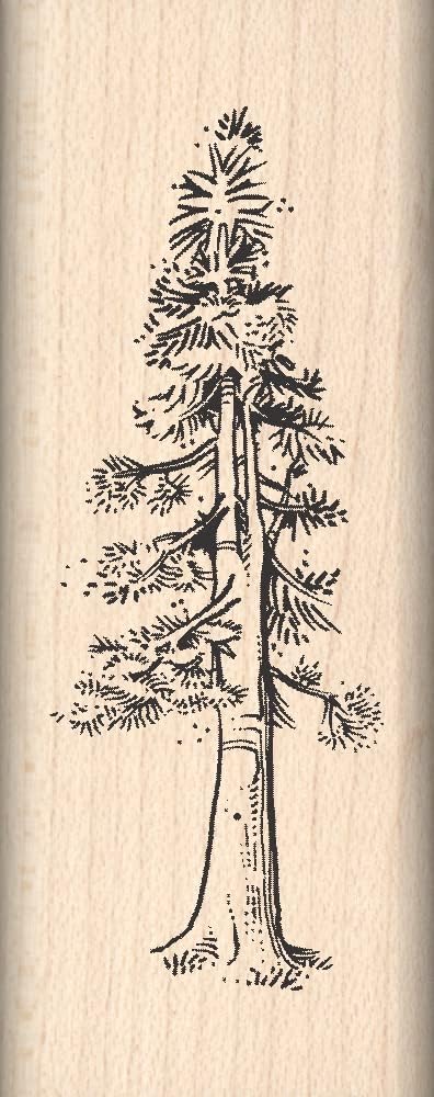 Amazon.com: Stamps by Impression Sequoia Tree Rubber Stamp 0628a : Toys ...