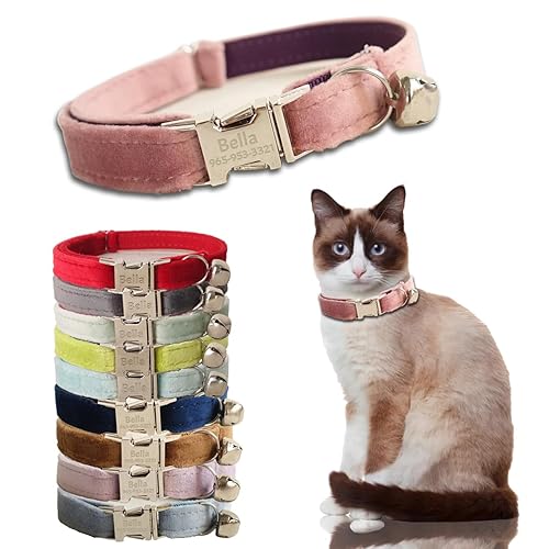 Amazon.com: Personalized Cat Collar with Custom Name Plate with Bell ...