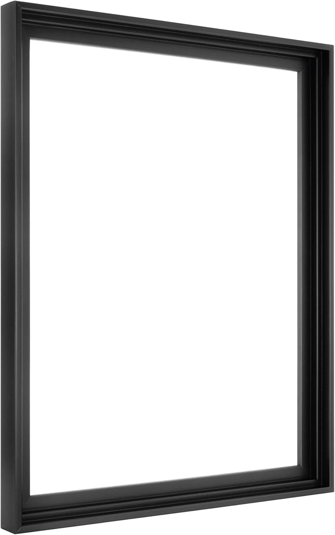 Amazon.com: MCS Canvas Float Frames 16x20 Frame, Black Frame for Finished Canvases, Vertical ...