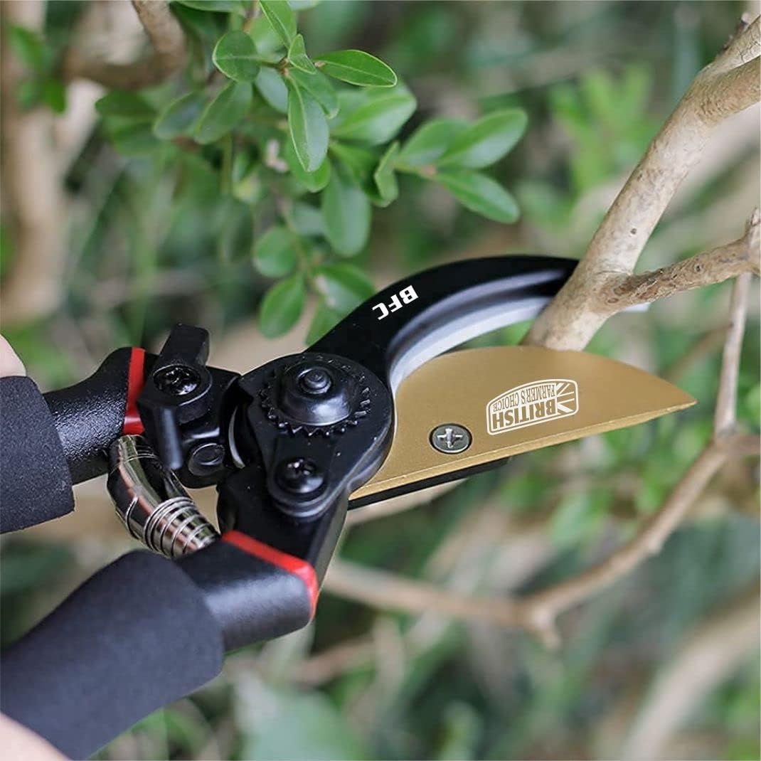 British 8” Premium Secateurs Pruning Shears, Titanium Bypass Garden ...