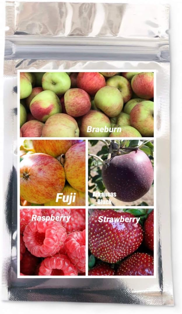 Amazon.com : Bulk 3 Apple Tree Seeds Survival Seeds 230 Apple Seeds + 5 ...
