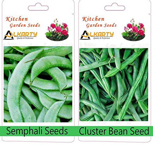 alkarty Semphali and Cluster Bean Seeds 20 Seeds per Packet : Amazon.in ...