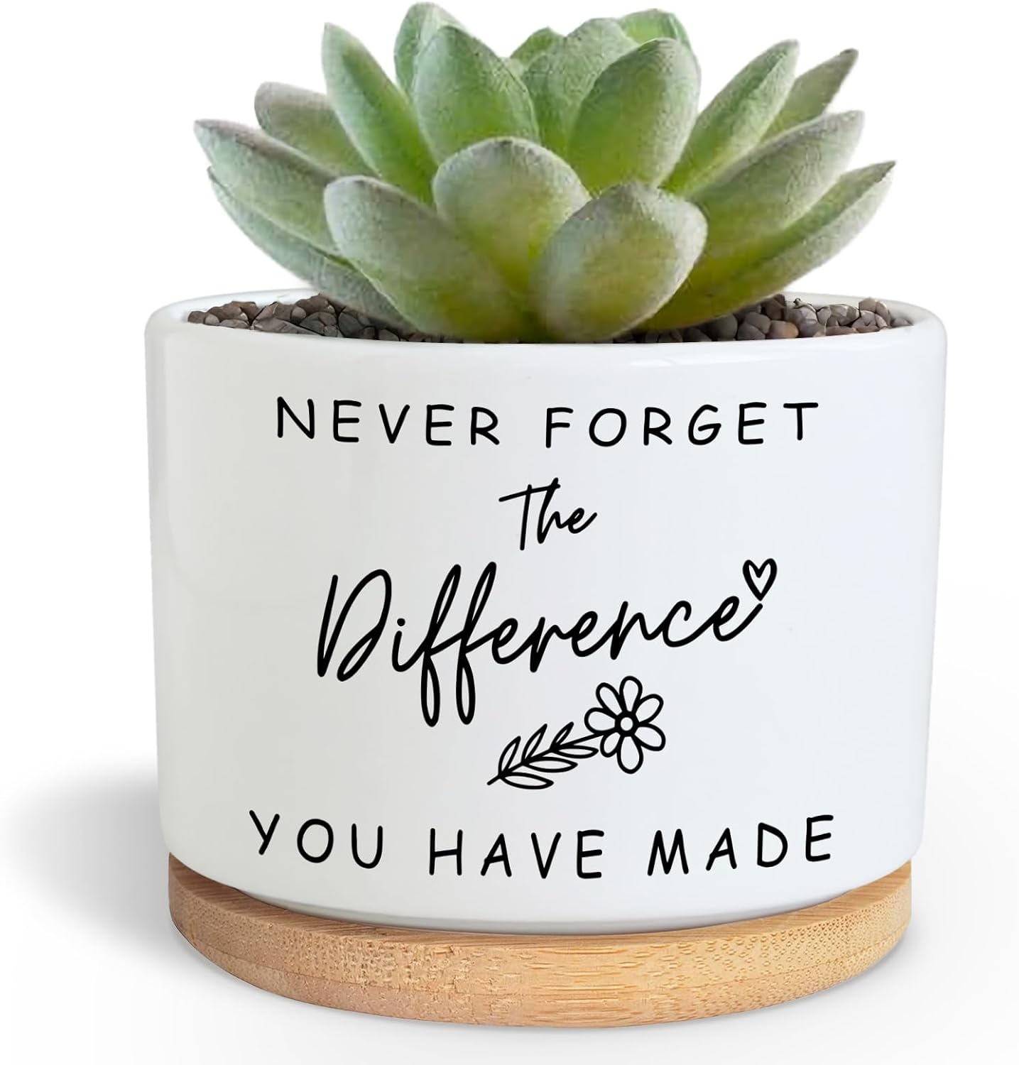 Funny Succulent Planters for Indoor Plants, Coworker Thank You Gifts ...