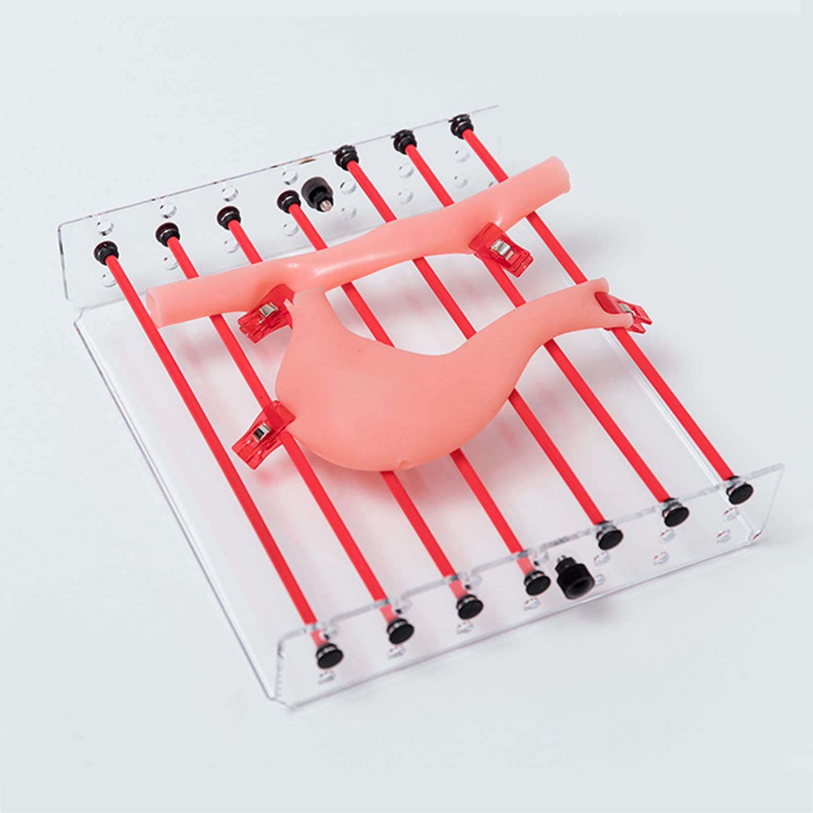 Yzilxy Laparoscopic Surgery Simulation Training Model Gastrointestinal ...