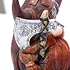 Amazon.com: caroanna Viking Norse Gnome Statue Viking Warrior Minotaur ...