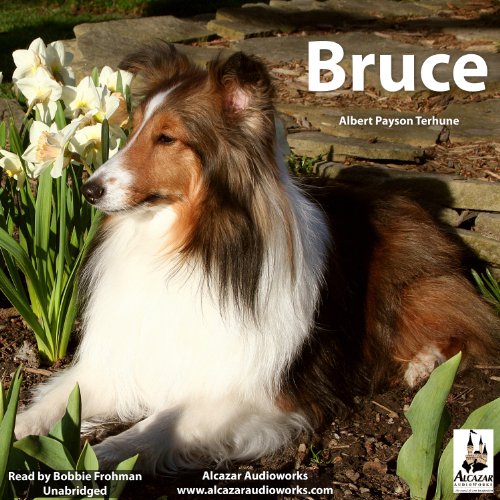 Amazon.com: Bruce: A Collie Story of Bravery and Great Adventure ...
