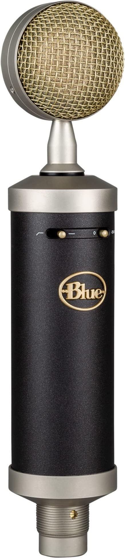 Blue Microphones Baby Bottle SL Large-Diaphragm Condenser Microphone ...