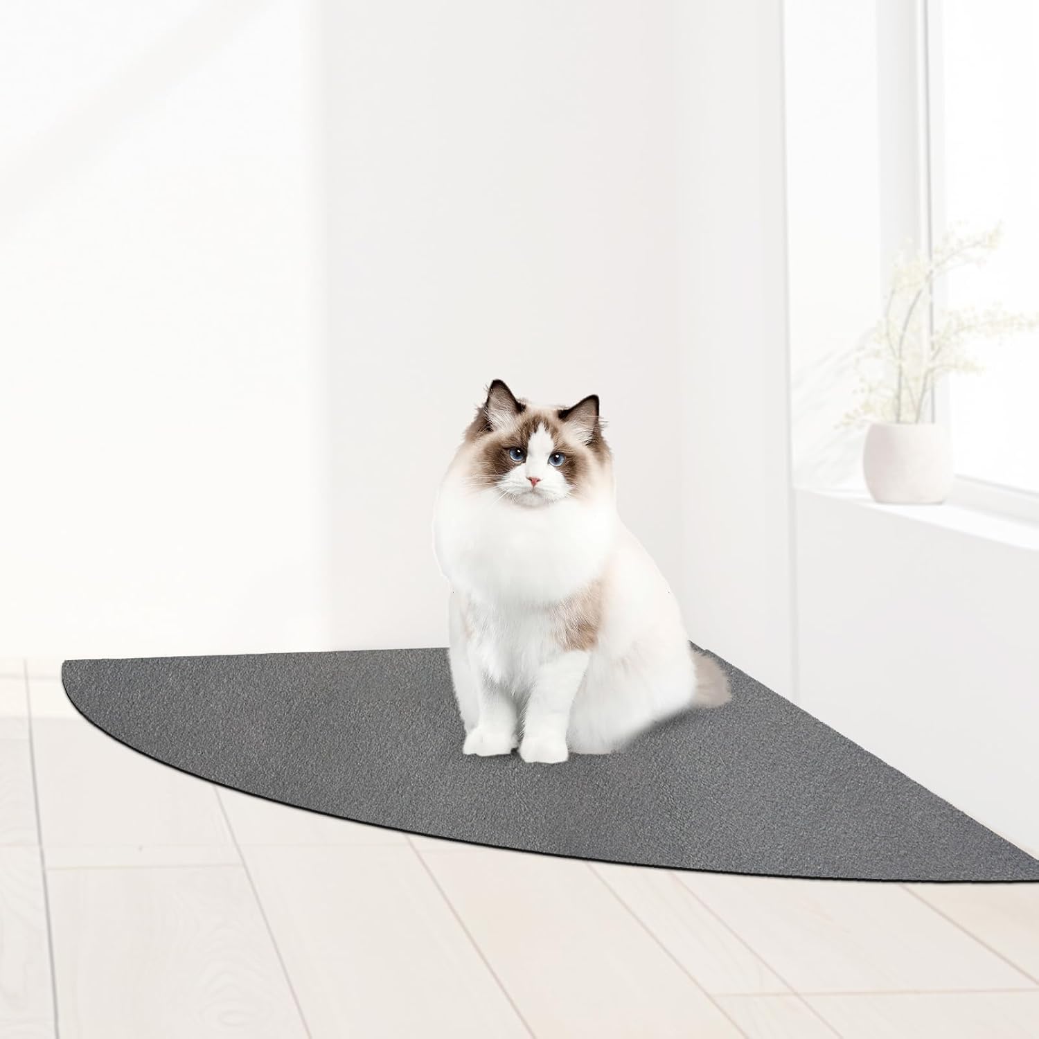 Amazon.com: QVEEQ Corner Cat Litter Mat, Cat Litter Box Corner Fan ...