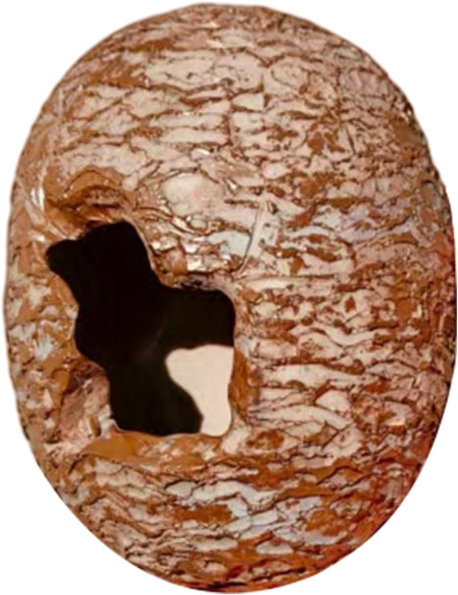 Amazon.com : Animal Hide, Dinosaur Egg Shelter, Gecko Burrow Accessory ...