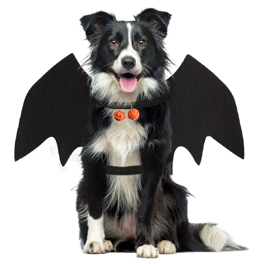 Dog Bat Costume, Pet Dog Wings Adjustable, Dog Bat Wings with Pumpkin ...