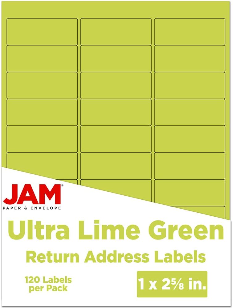 Amazon.com : Address Labels for Laser & Inkjet Printers 150 Pastel Blue ...