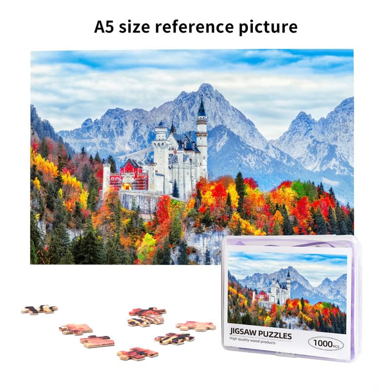 Castorland Puzzle 1000 Piece Puzzle - Germany Castle In Bavarian Alps ...