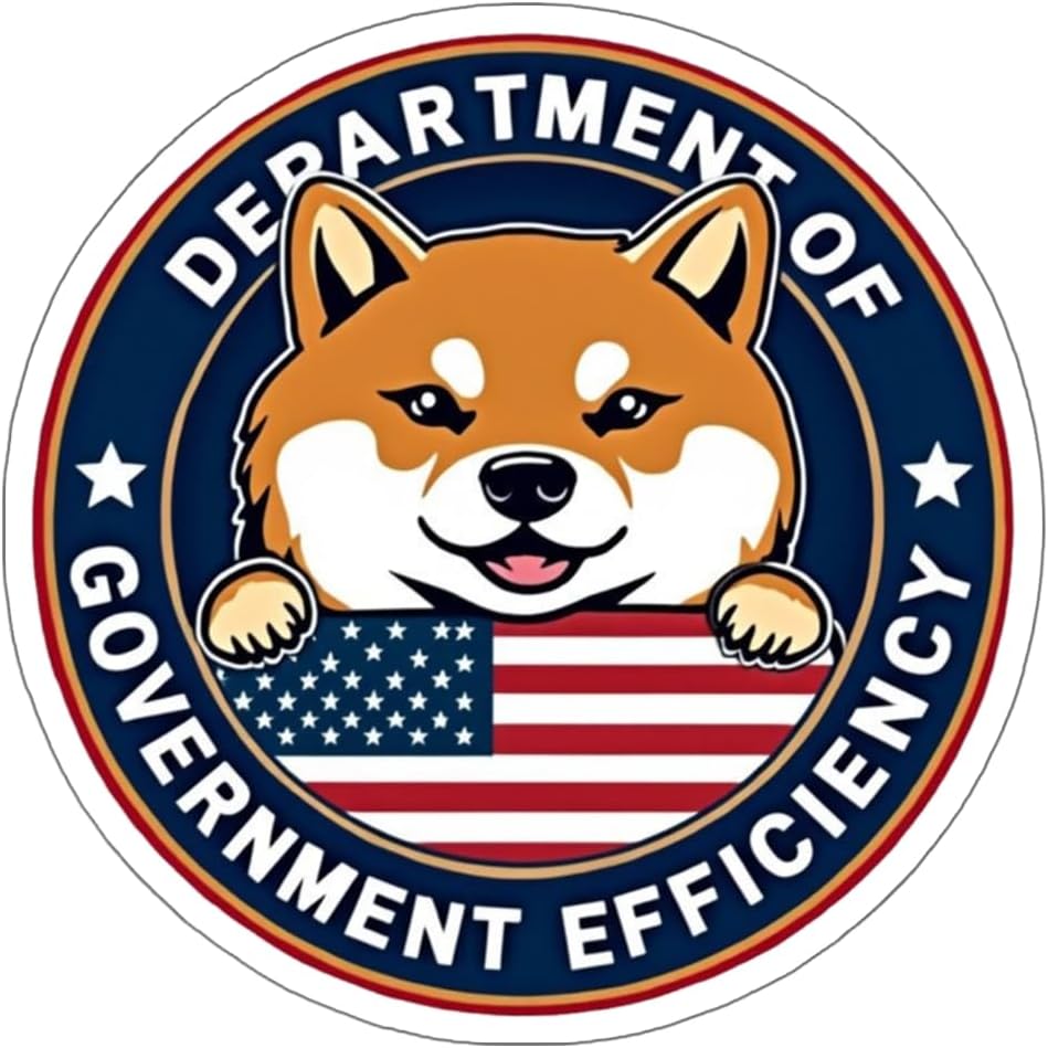 Amazon.com - Department of Government Efficiency Sticker Magnets Gifts ...