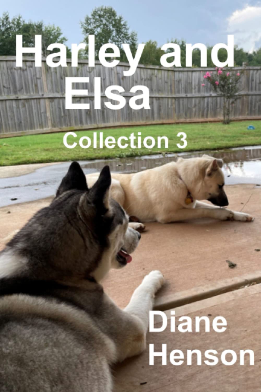 Harley and Elsa Three (The Adventures of Harley Quinn and Elsa: Color ...