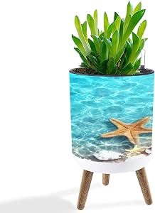 Amazon.com : Planter with Stand seashell summer beach sea water Summer ...