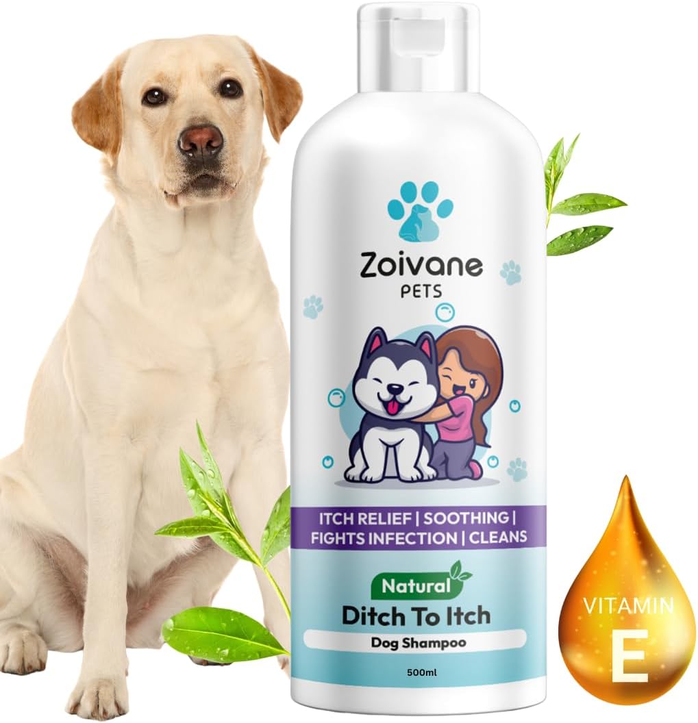 Buy ZOIVANE Dog Shampoo | Ditch To Itch & Dog Anti Dandruff Shampoo ...