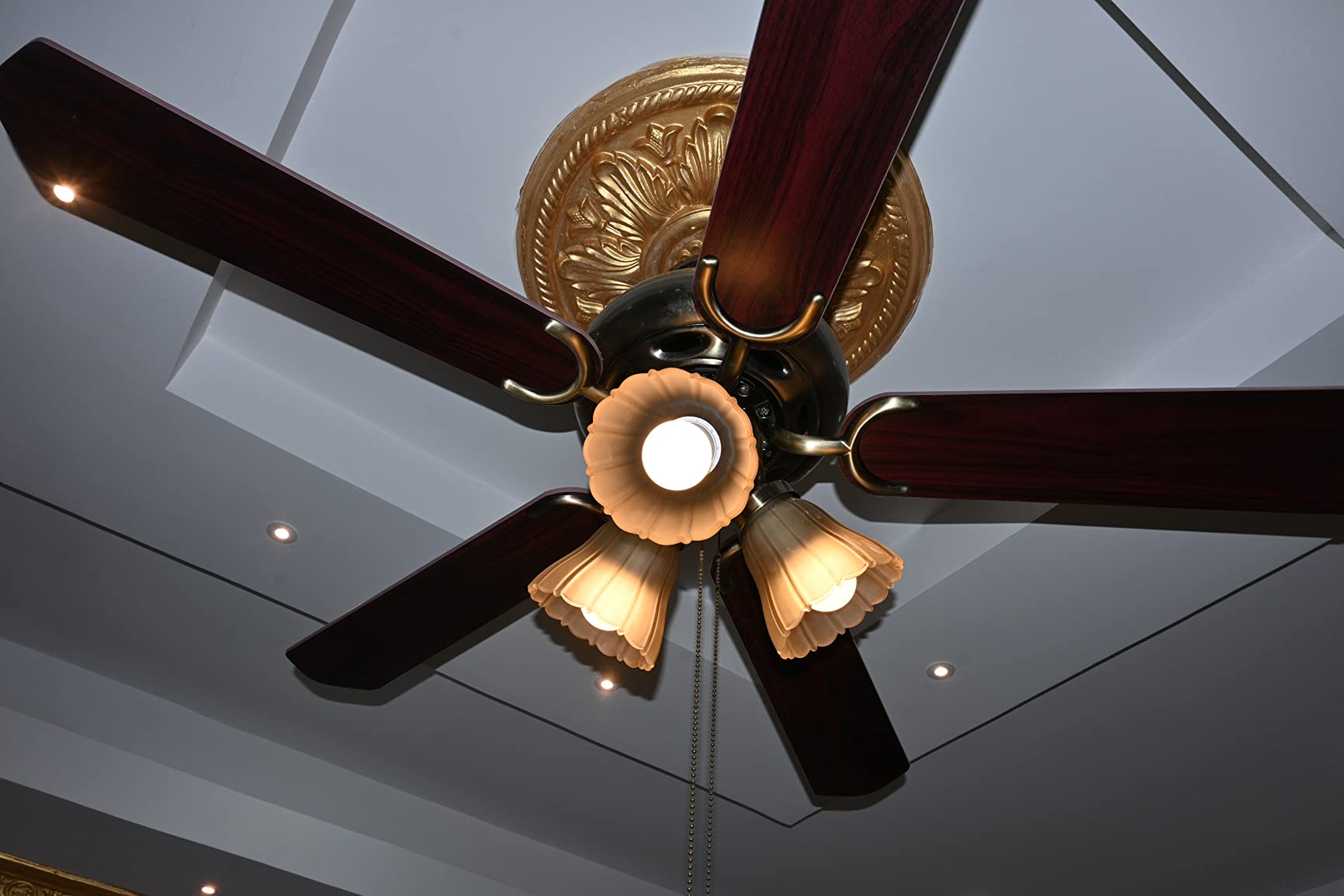 Buy Hans Lighting Breeza Grace 48-Inch Ceiling Fan with Light - Elegant ...