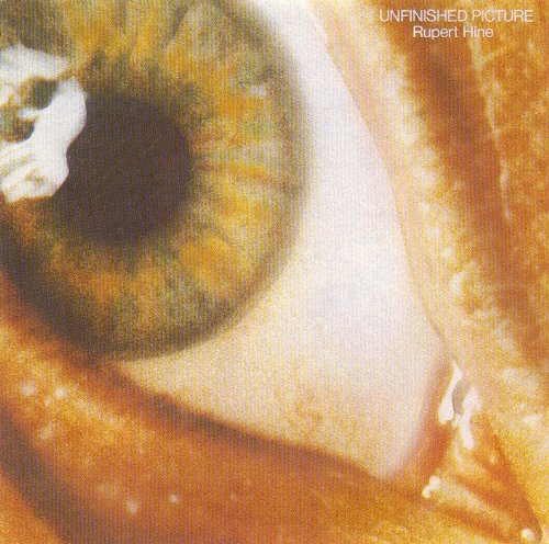 Amazon.com: Unfinished Picture: CDs & Vinyl