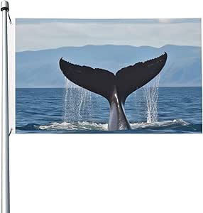 Amazon.com : Whale Tail Flag 3x5 Ft Indoor Outdoor Flags with Grommets ...