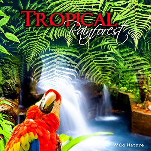 Amazon.com: Tropical Rainforest – Wild Nature Music Collection ...