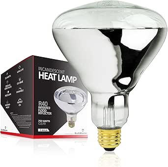 BULBMASTER 250 Watt Heat lamp Bulb for Bathroom R40 Incandescent Shower ...