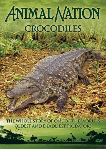 Amazon.com: Animal Nation - Crocodiles [DVD][UK Import] : Movies & TV