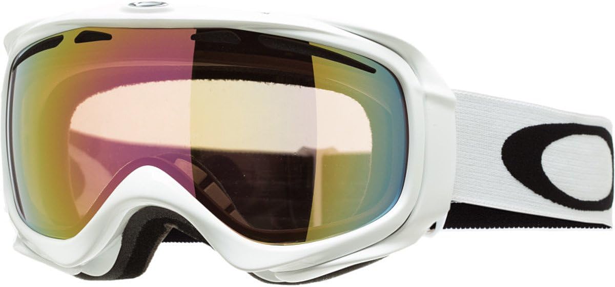 Amazon.com : Oakley Unisex-Adult Elevate Snow Goggle(Polished White ...