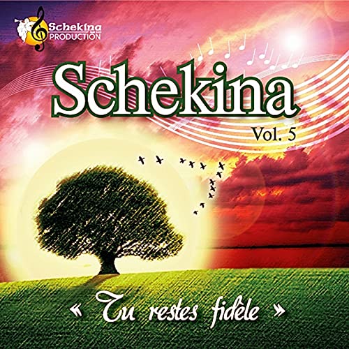 Écouter Tu restes fidèle, Vol. 5 de Schekina sur Amazon Music