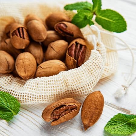 Amazon.com : 4 Pecan Trees Plants Live Bare Roots, 1-2 Feet Tall Hardy ...
