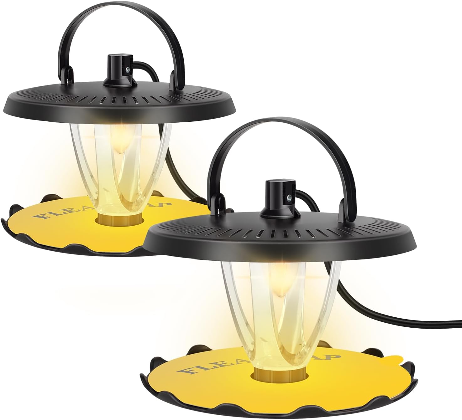 Amazon.com : Flea Traps for Inside Your Home,New Bed Bug Trap with ...