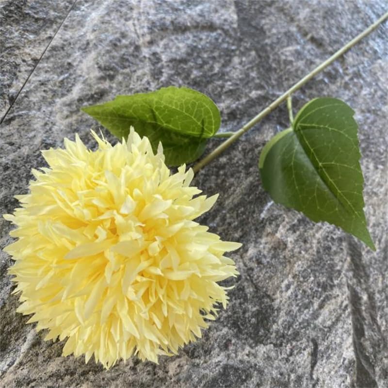 Crisantemo Amarillo Solo