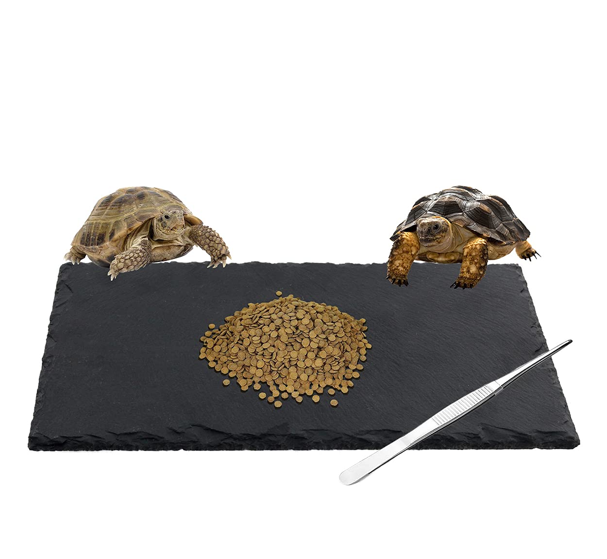 Buy Linifar Turtle Basking Rock Tortoise Bathing Plate Reptile Platform ...