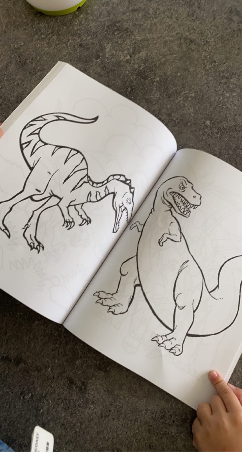 DINO REX DINOSAUR COLORING BOOK: Large Kids Coloring Book With Connect ...