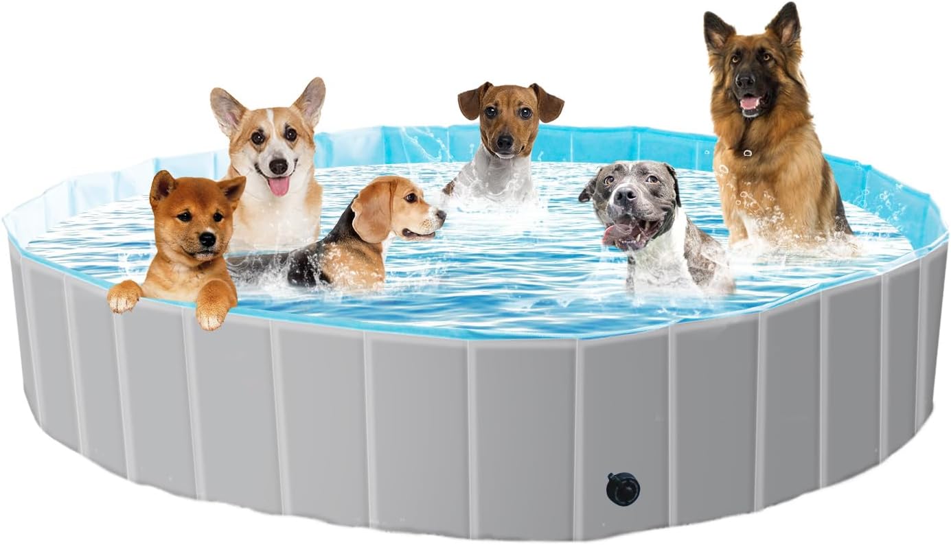 Amazon.com: MAX Foldable Dog Pet Bath Pool, 63" Hard Plastic Pool for ...