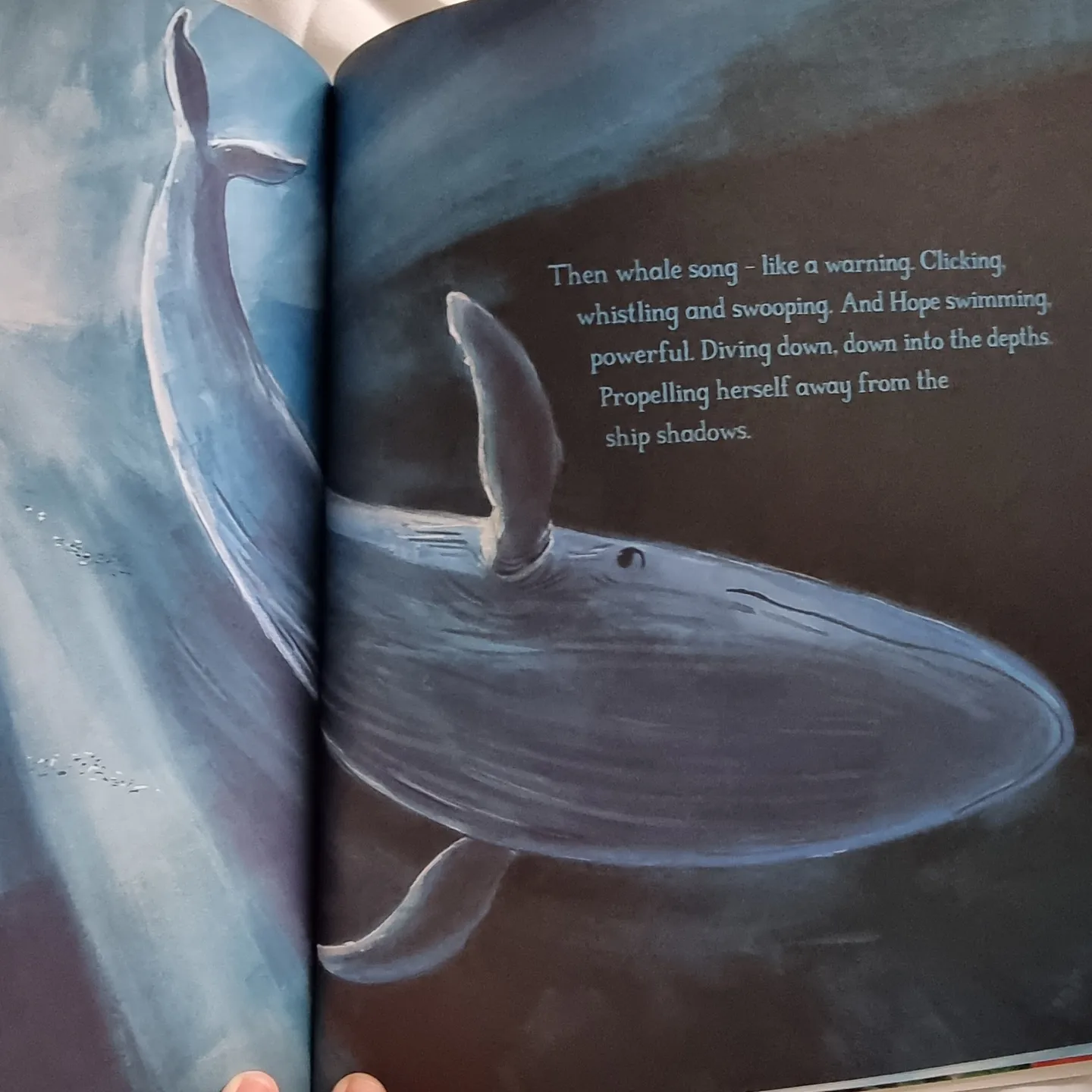 Hope the Whale: In Association with the Natural History Museum : Books ...