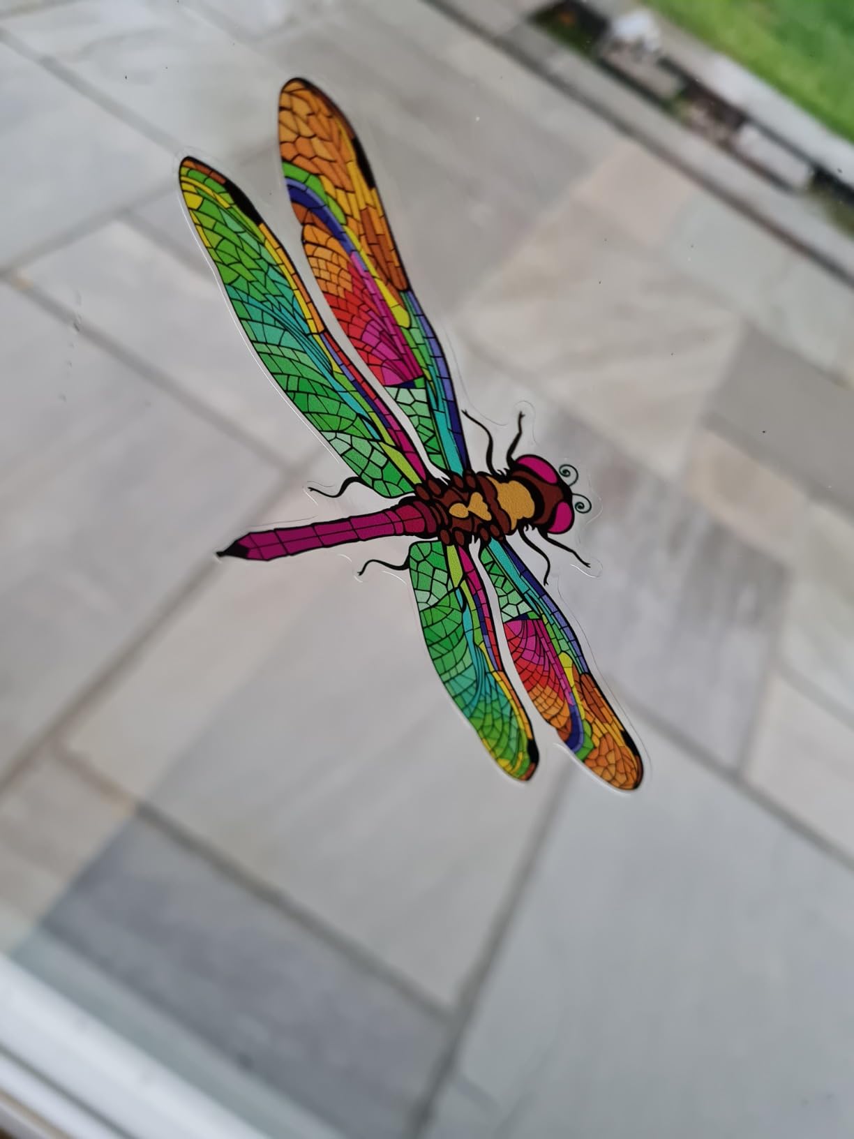 Window Stickers - 8 Beautiful Dragonflies Decorative Electrostatic ...