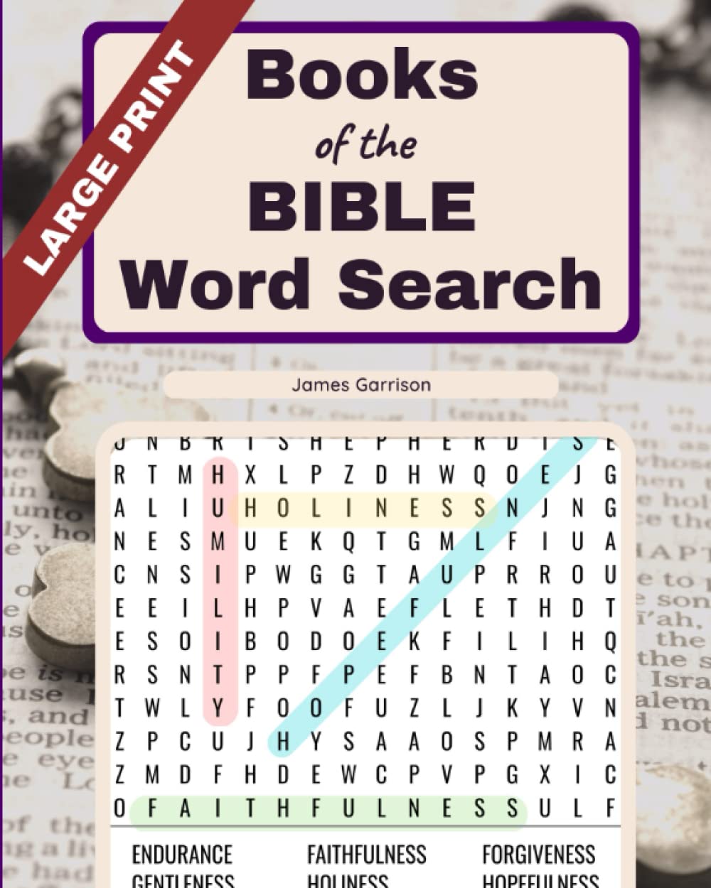 Books of the Bible Word Search: 66 Bible Book Themed Large Print ...