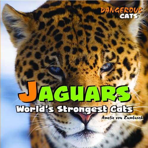 Jaguar Books for Children | Rainforest Unit Study