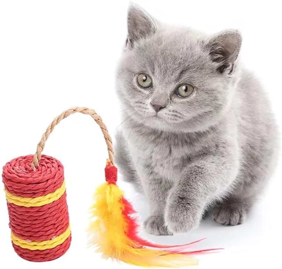 Amazon.in: Firecrackers