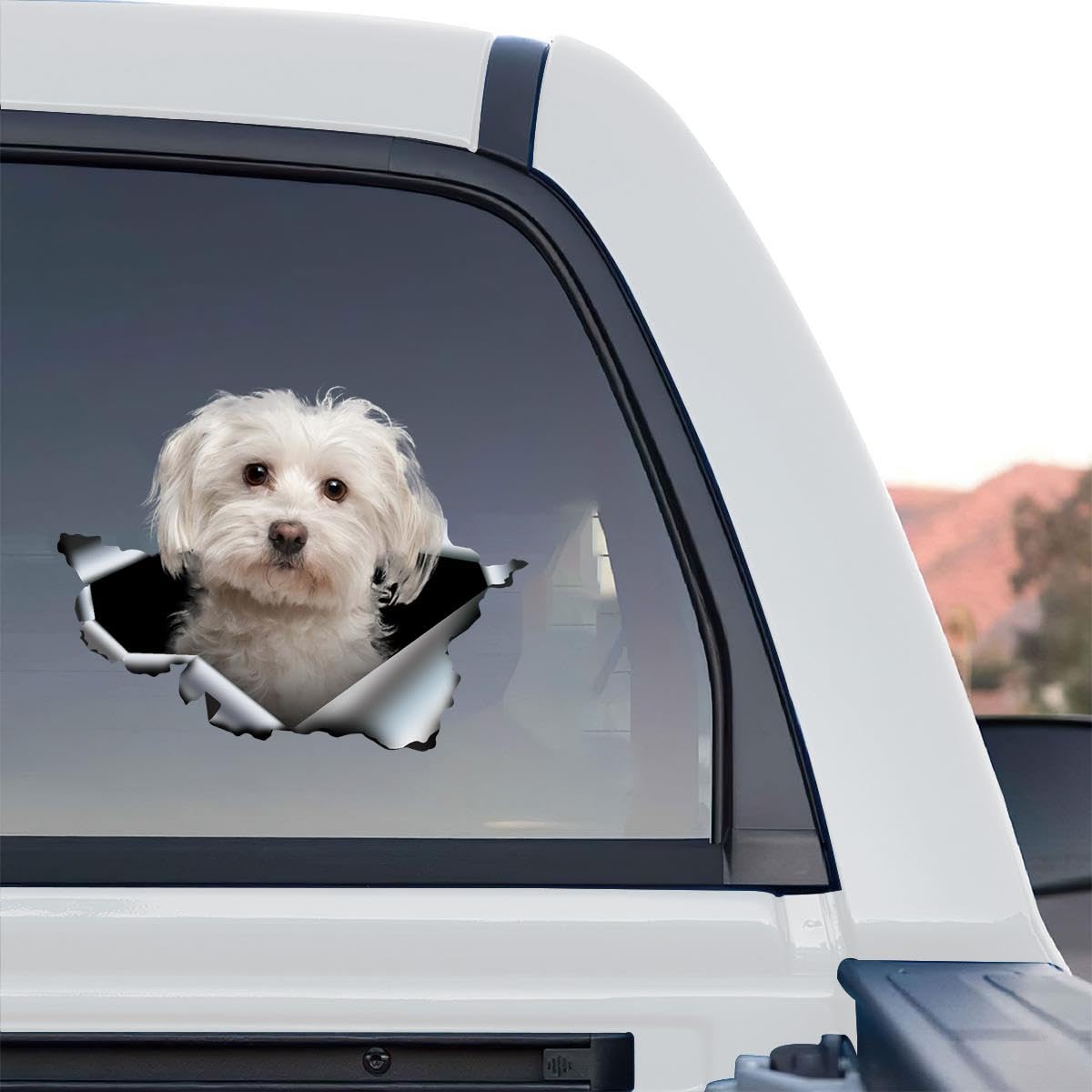 Amazon.com - Petpalstickers Cute Dog Stickers for Car Window Decals ...