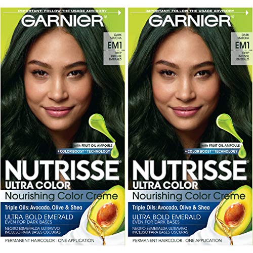 Garnier Nutrisse Ultra Color Nourishing Permanent Hair Color Cream, BR1 ...
