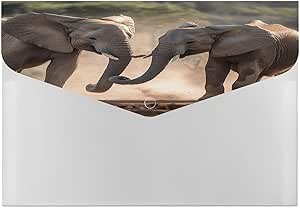 Amazon.com : YJWANDL Document Organizer, Two Elephants Playing Print ...