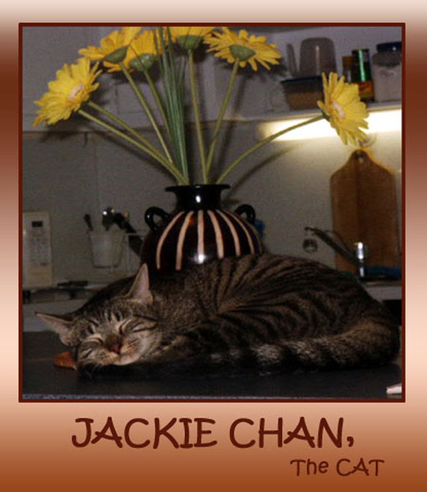 Jackie Chan, The Cat (Autobiography-All True Book 4) - Kindle edition ...