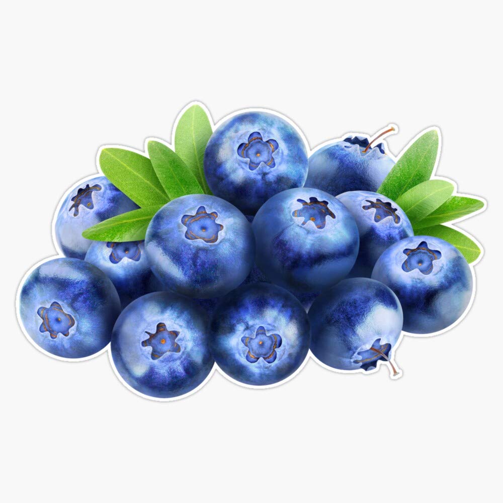Amazon.com - Pile of Blueberries Sticker Vinyl Bumper Sticker Decal ...
