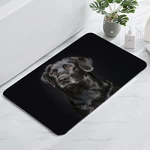 Amazon.com: OHTMTHO Black Lab Bath Mat Non Slip Washable, Dog Labrador ...