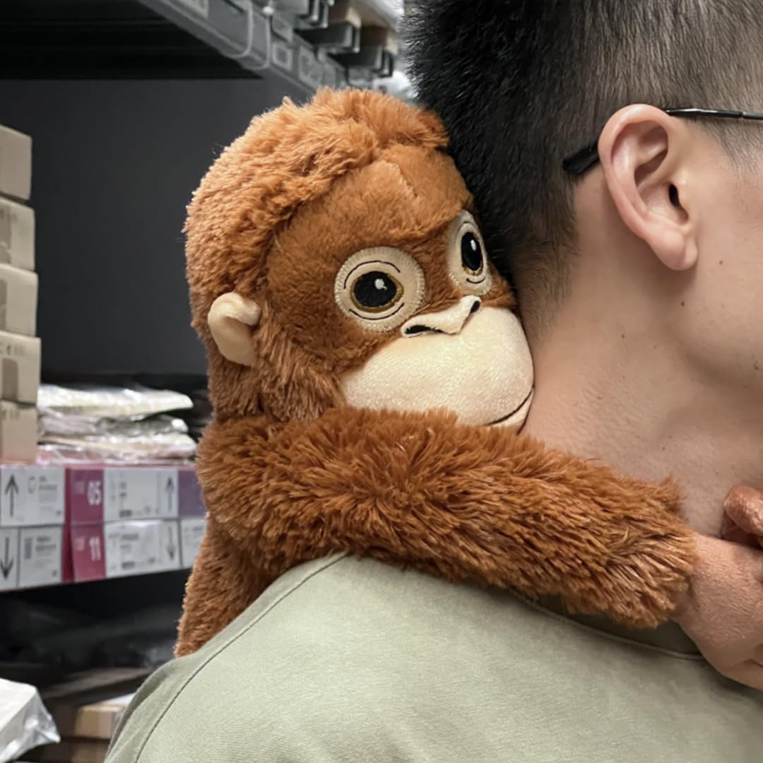 Funny Ikea Monkey Memes