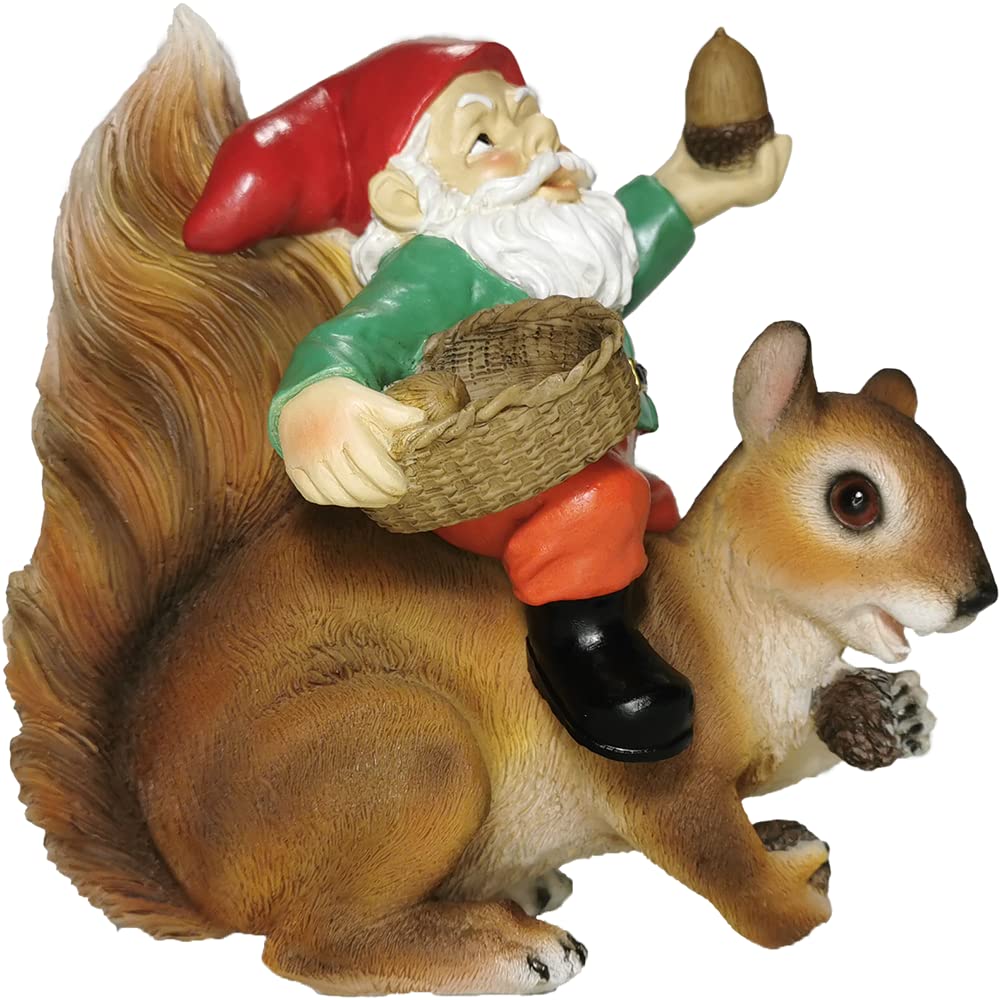 Gnome Riding Squirrel