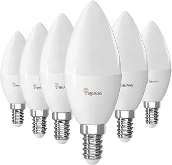 BHMAOYN 12V 24V LED E14 Candle Light Bulb 7W = 60W for Motorhome/Garden ...