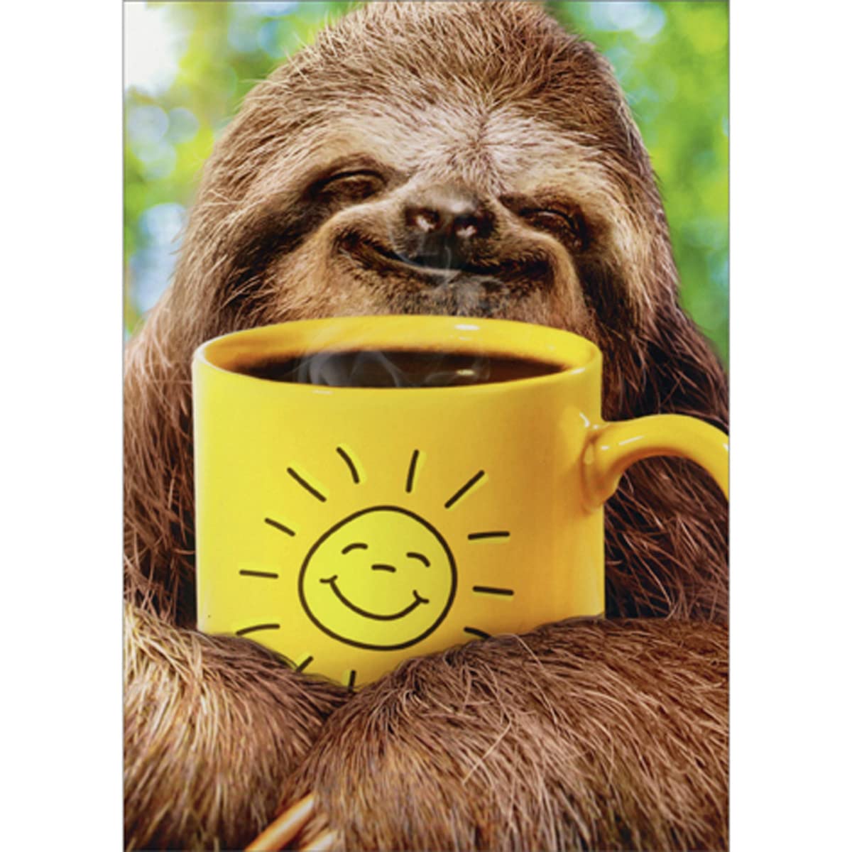 Amazon.com : Avanti Press Sloth Holding Yellow Coffee Cup Funny ...